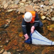 Red Surber de 250 micras